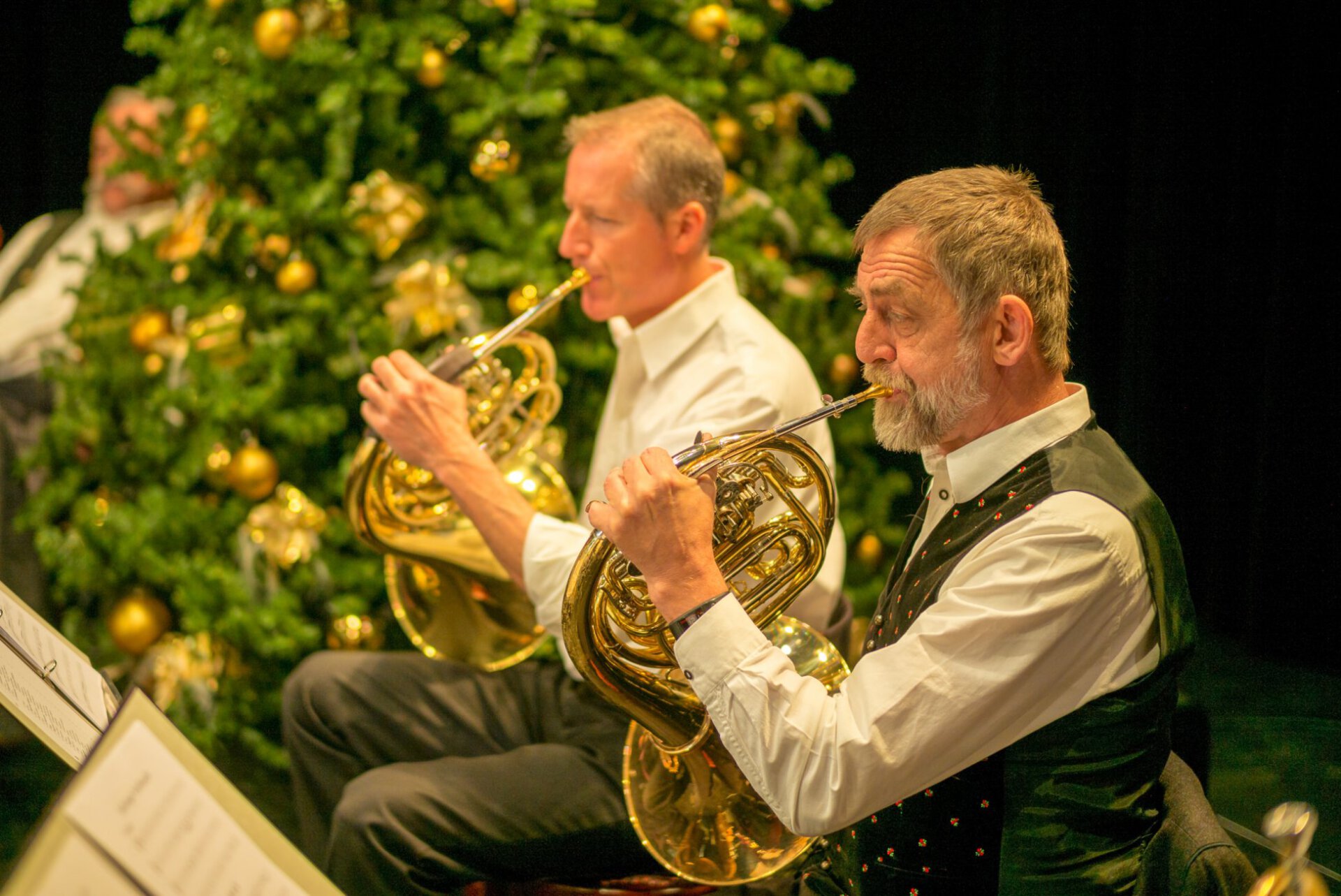 Ensemble Hans Berger – Hans Berger